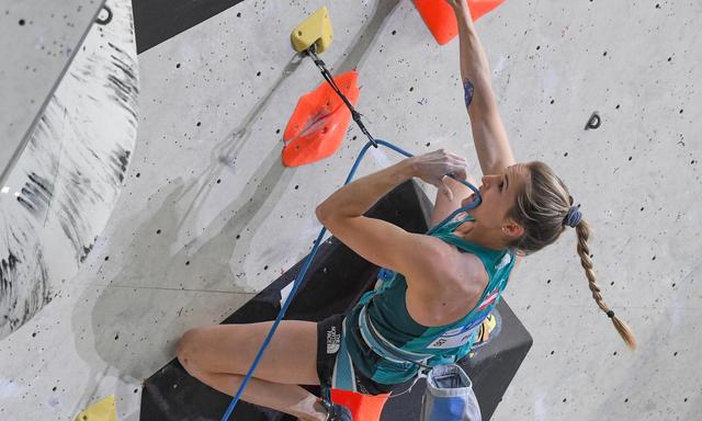 Pilz und Schubert klettern ins WM-Finale | DiePresse.com